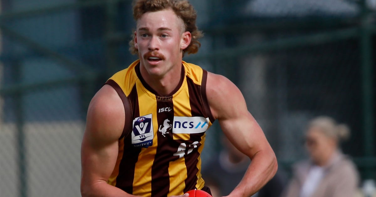 VFL player by player: 10 AFL-listed Hawks reviewed