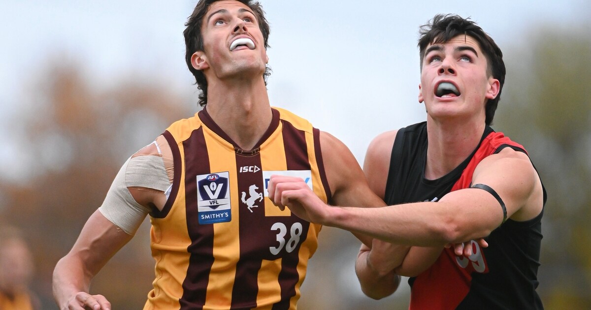 VFL player by player: How each AFL-listed player went at Windy Hill