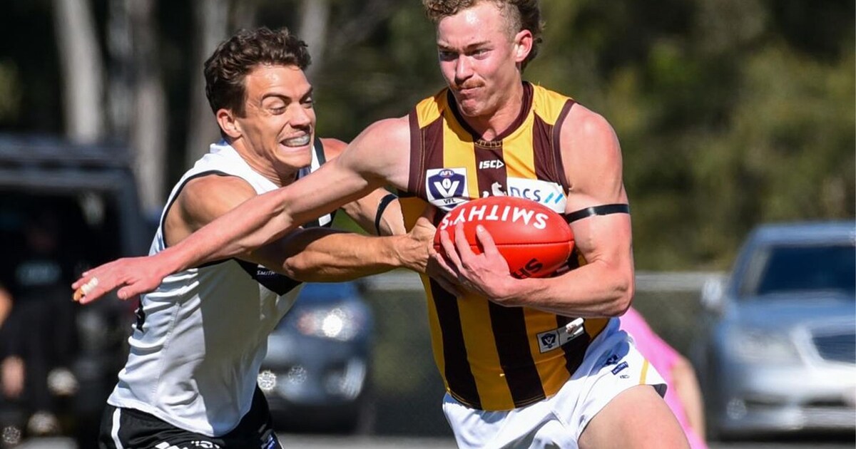 VFL player by player: How AFL Hawks performed against Southport