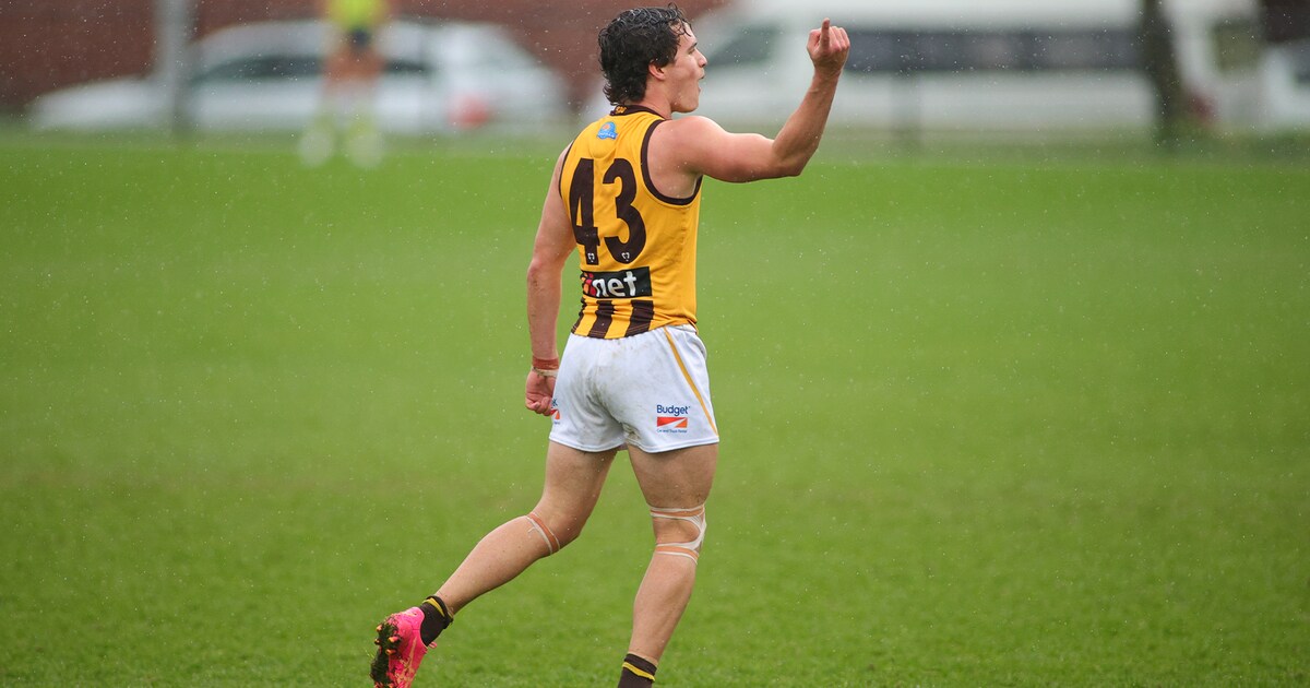 VFL Player by Player: Hawks bounce back against Roos